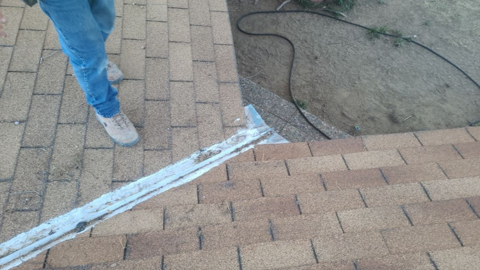 Does Your Roof Have Mold? | Reimagine Roofing